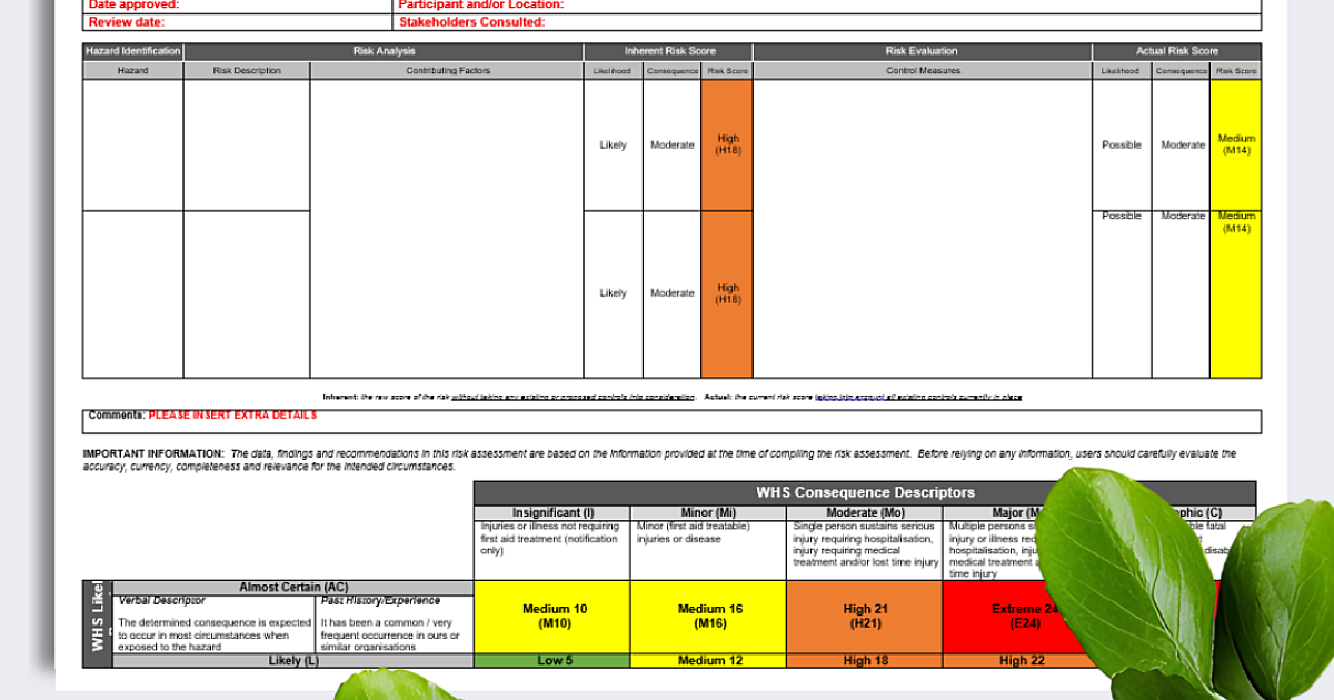 WHS Risk Assessment Plan - Blank | Disability Compliance Australia