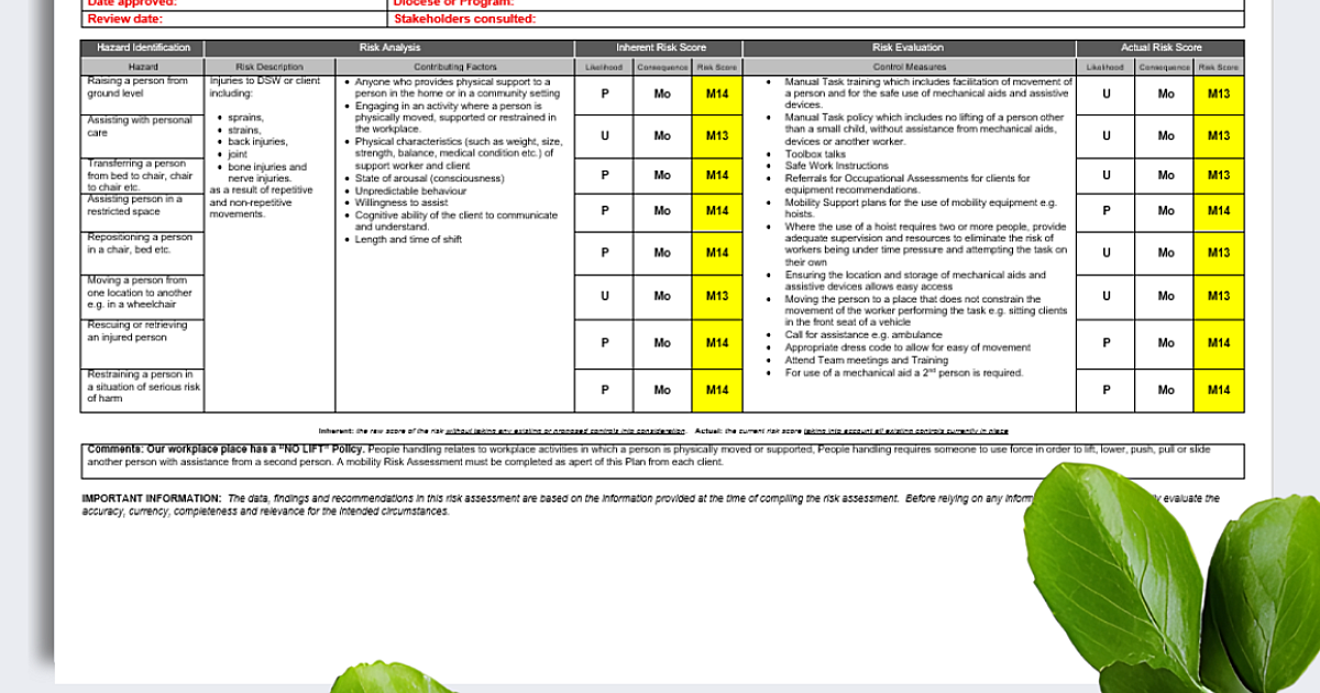 WHS Risk Assessment Plan - Manual… | Disability Compliance Australia
