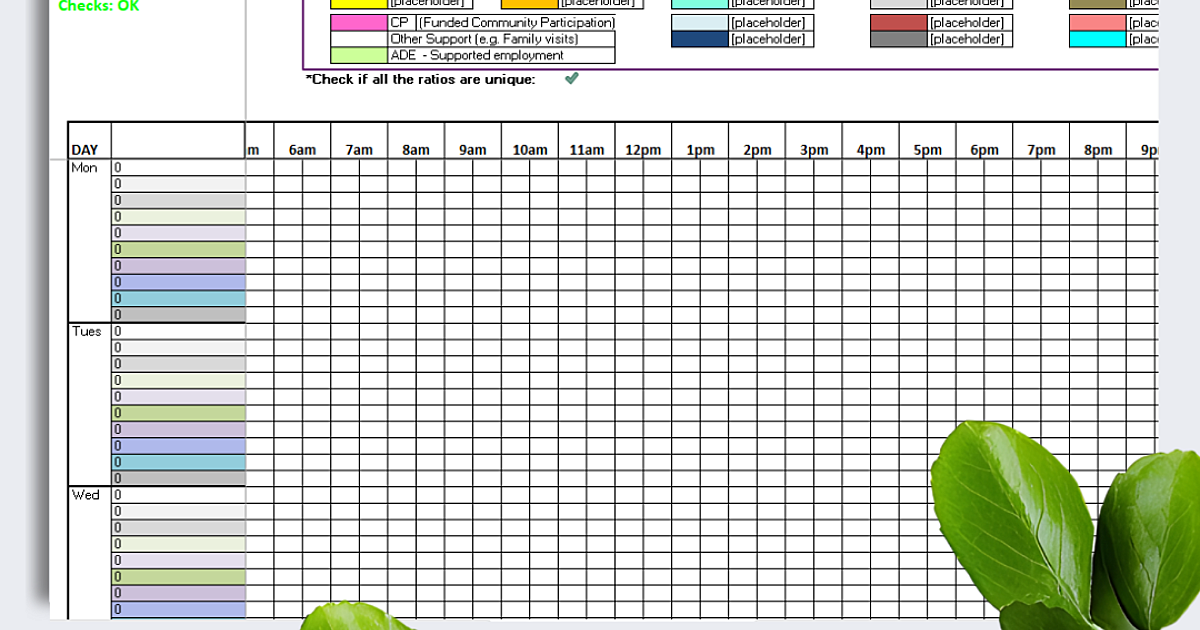 SIL Roster of Care Tool Form | Disability Compliance Australia