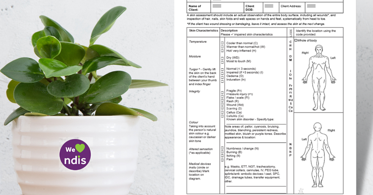 Skin Assessment & Treatment Plan | Disability Compliance Australia