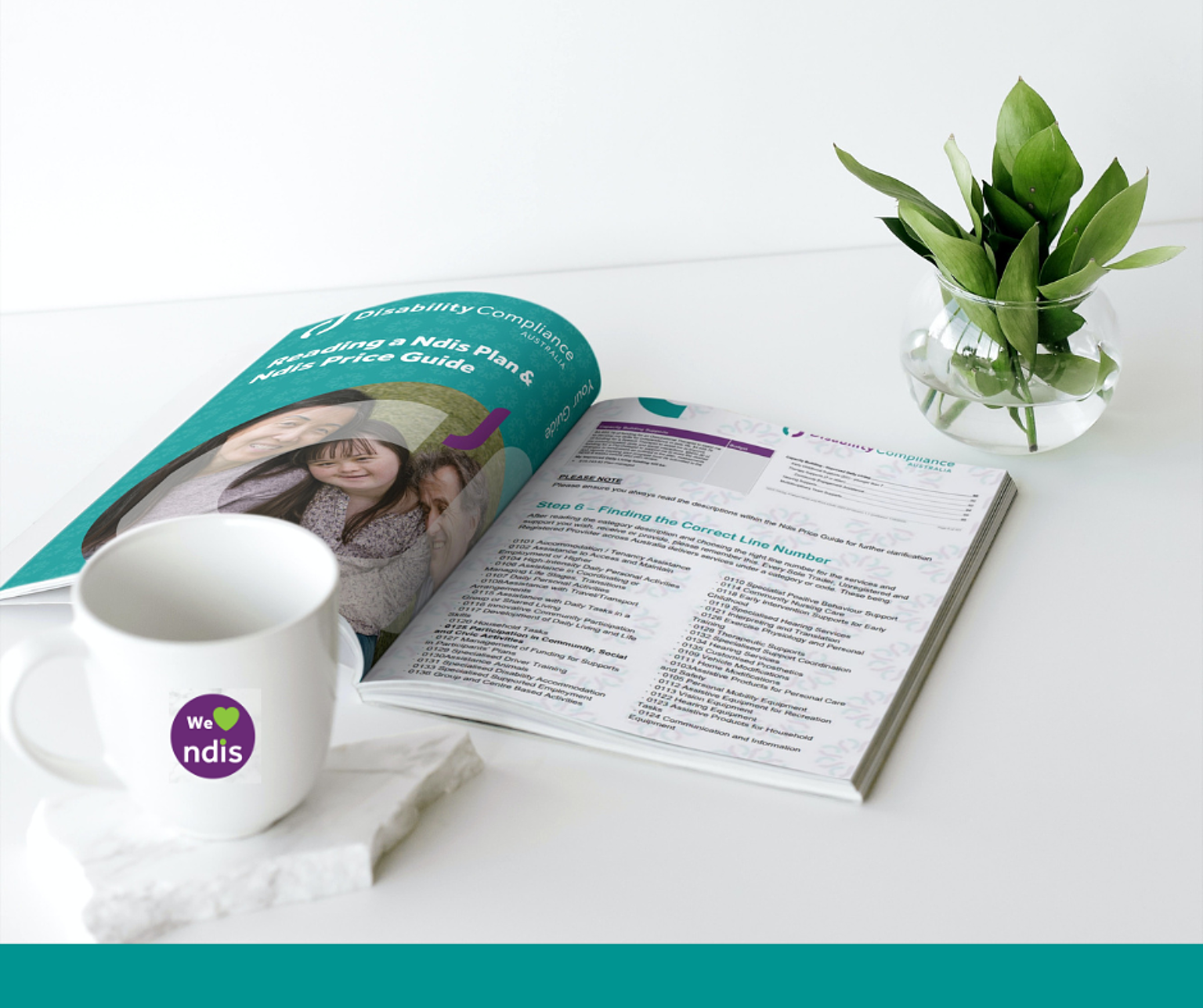 Reading a NDIS Plan & NDIS Matching Price Guide